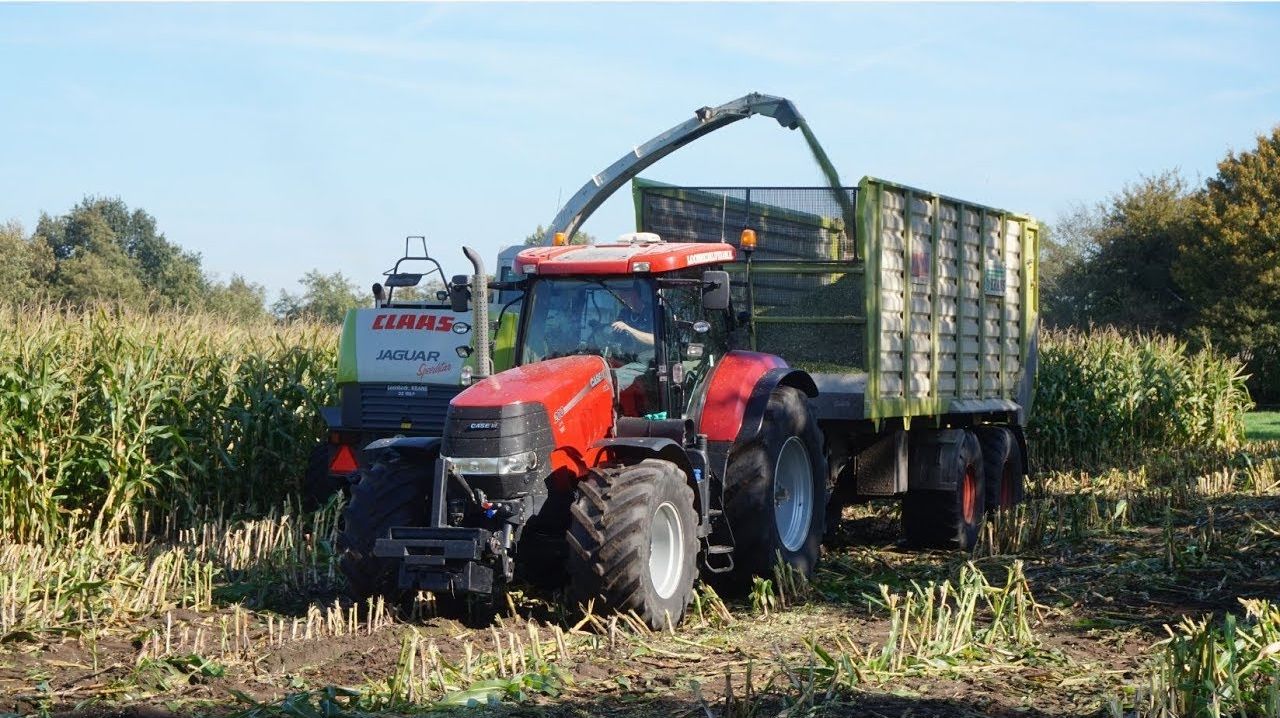 Oogst 2018 met Claas Jaguar 870. Loonb.Krans De Wilp.